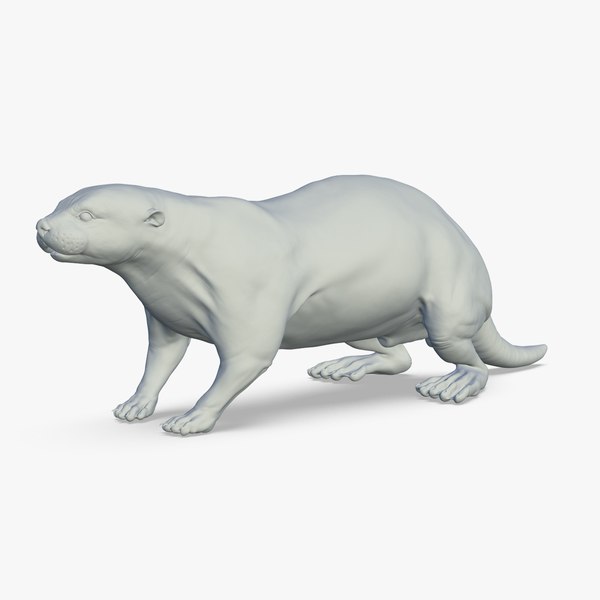 3D Otter Models | TurboSquid