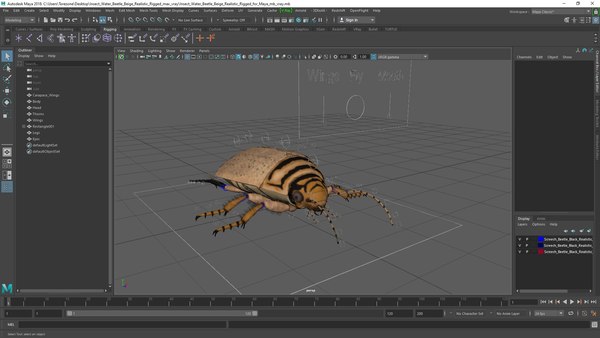 3D модель Насекомое Водяной Жук Бежевый Реалистичный Снаряженный для ...