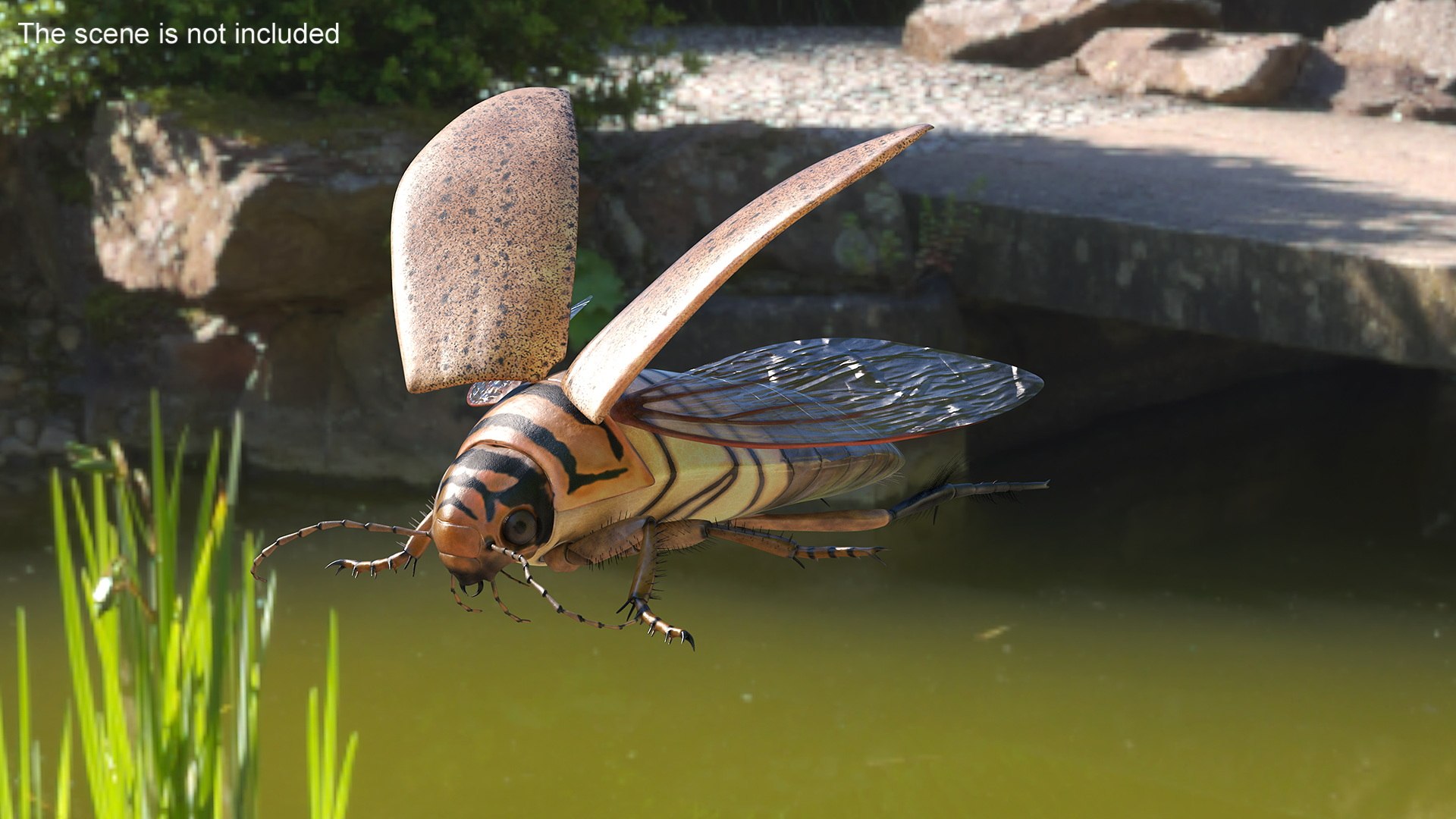 Insect Water Beetle Beige Realistic Rigged For Maya 3D Model ...
