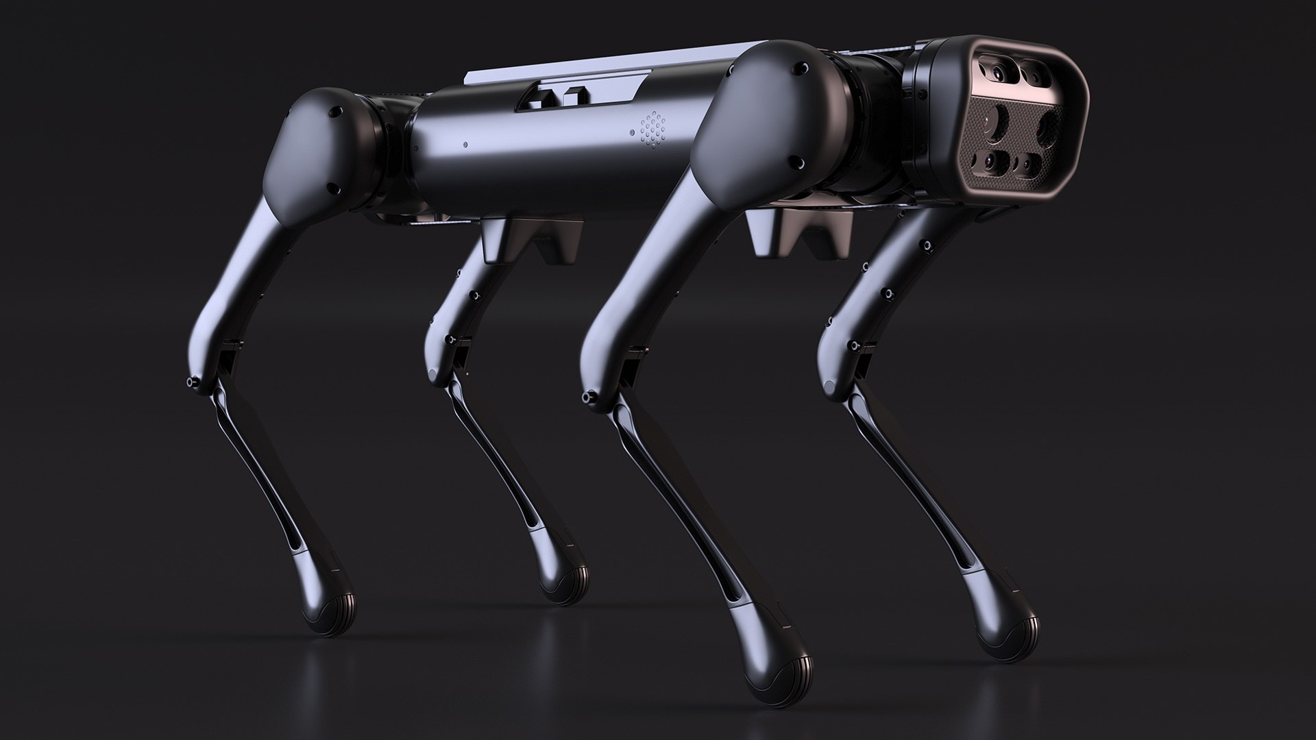 Aliengo Robot Dog Model - TurboSquid 2082701