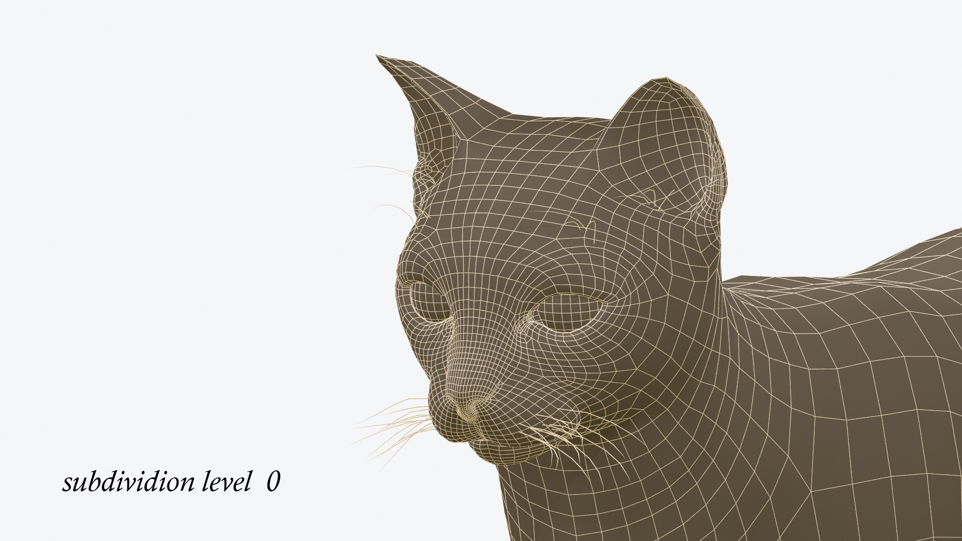 Cat Modeled 3D Model - TurboSquid 1297030
