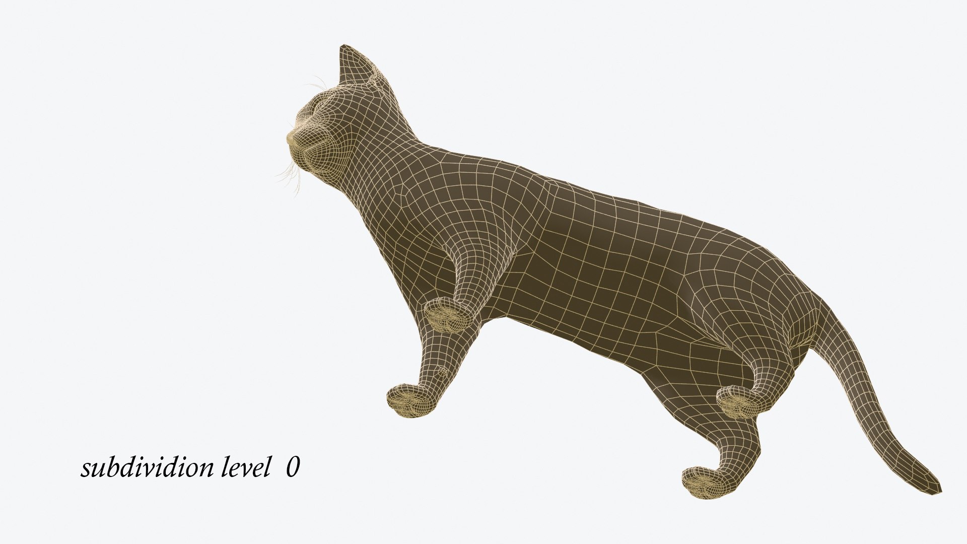 Cat Modeled 3D Model - TurboSquid 1297030