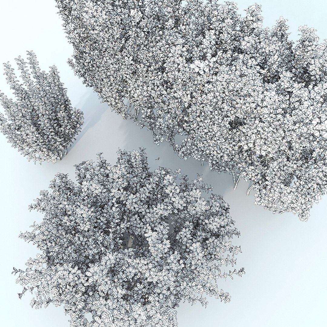 3D Bush Model - TurboSquid 1262936