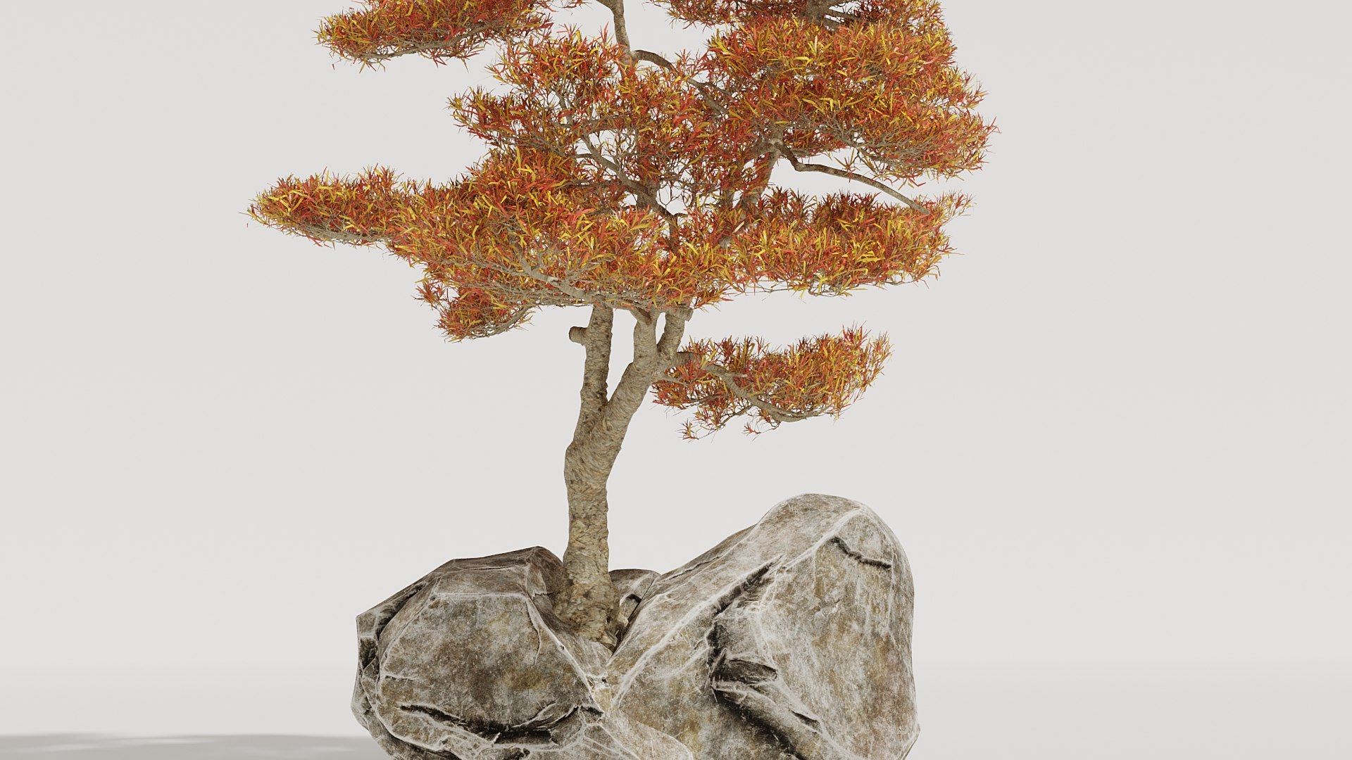Japanese Tree 3D Model - TurboSquid 2191841