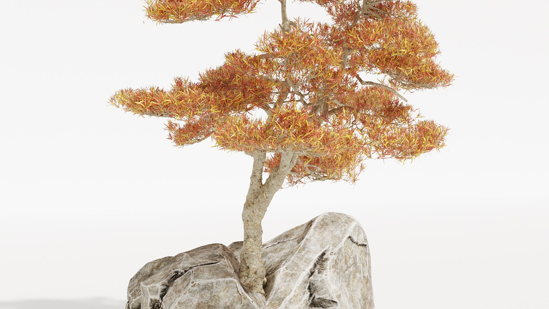 Japanese Tree 3D Model - TurboSquid 2191841