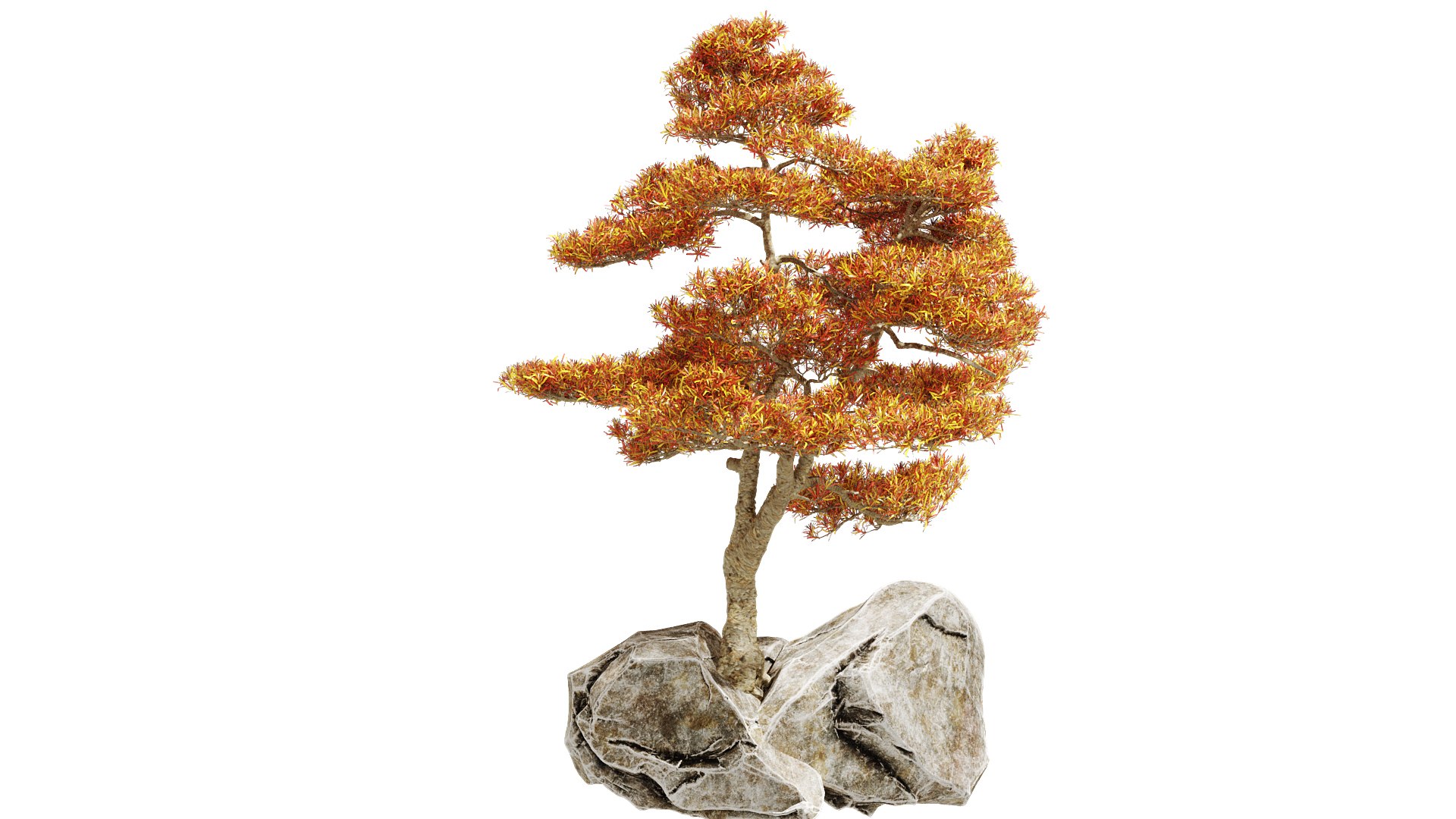 Japanese Tree 3D Model - TurboSquid 2191841