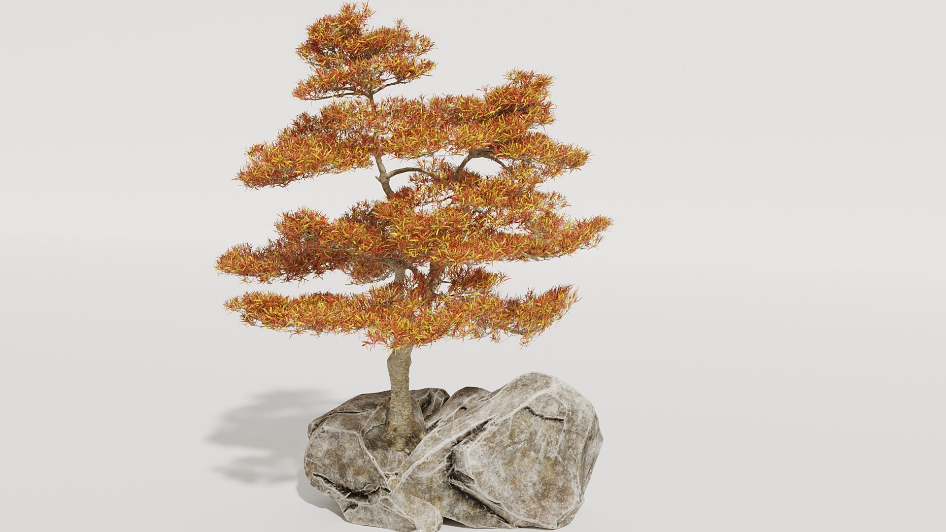 Japanese Tree 3D Model - TurboSquid 2191841
