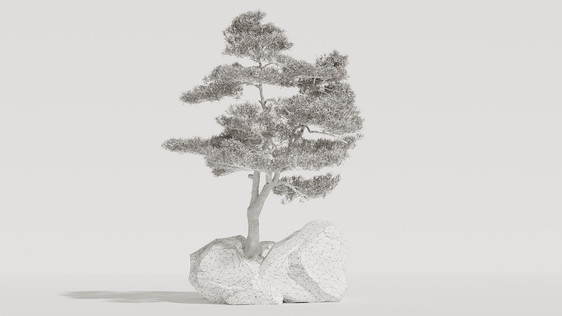 Japanese Tree 3D Model - TurboSquid 2191841
