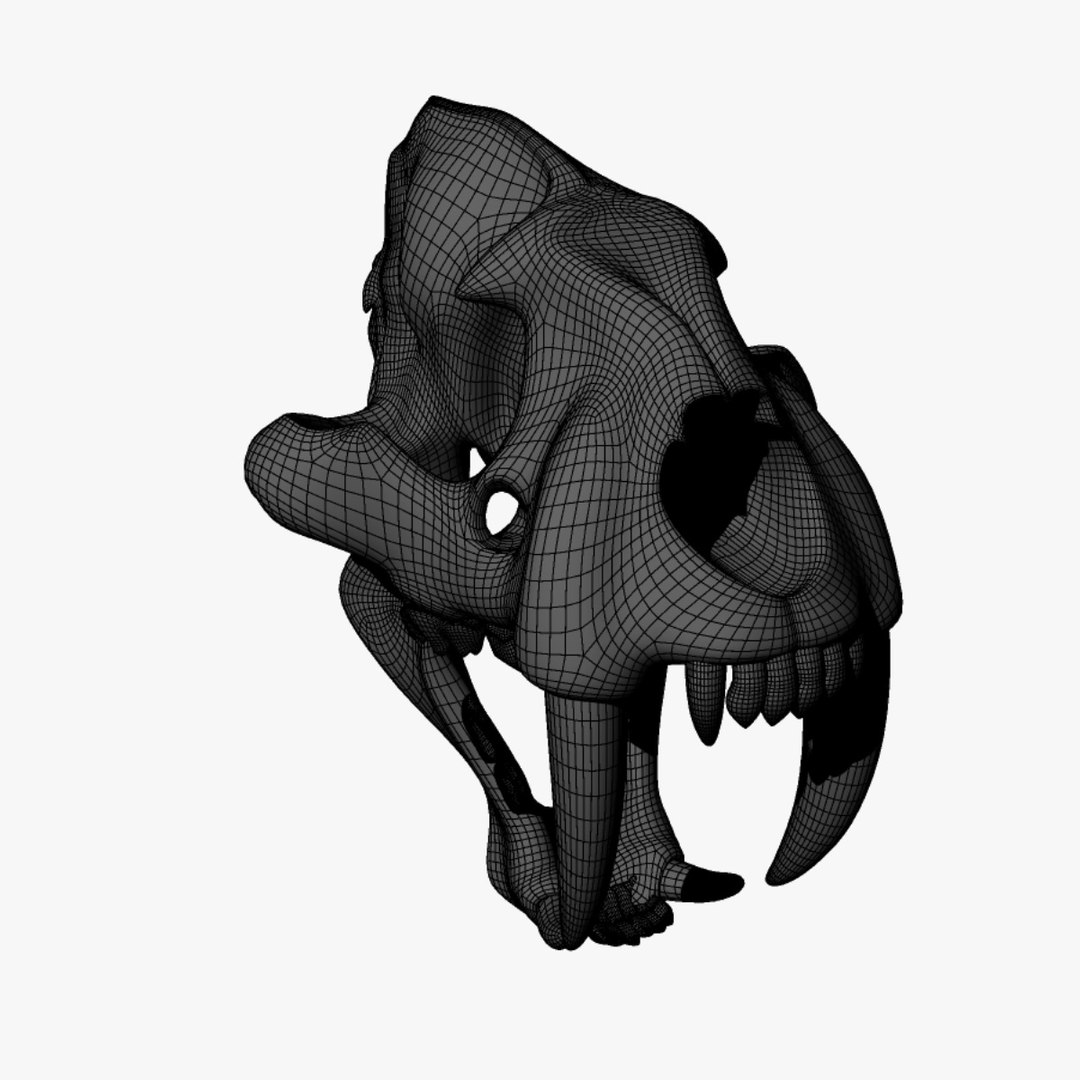 3d Model Saber Tooth Tiger
