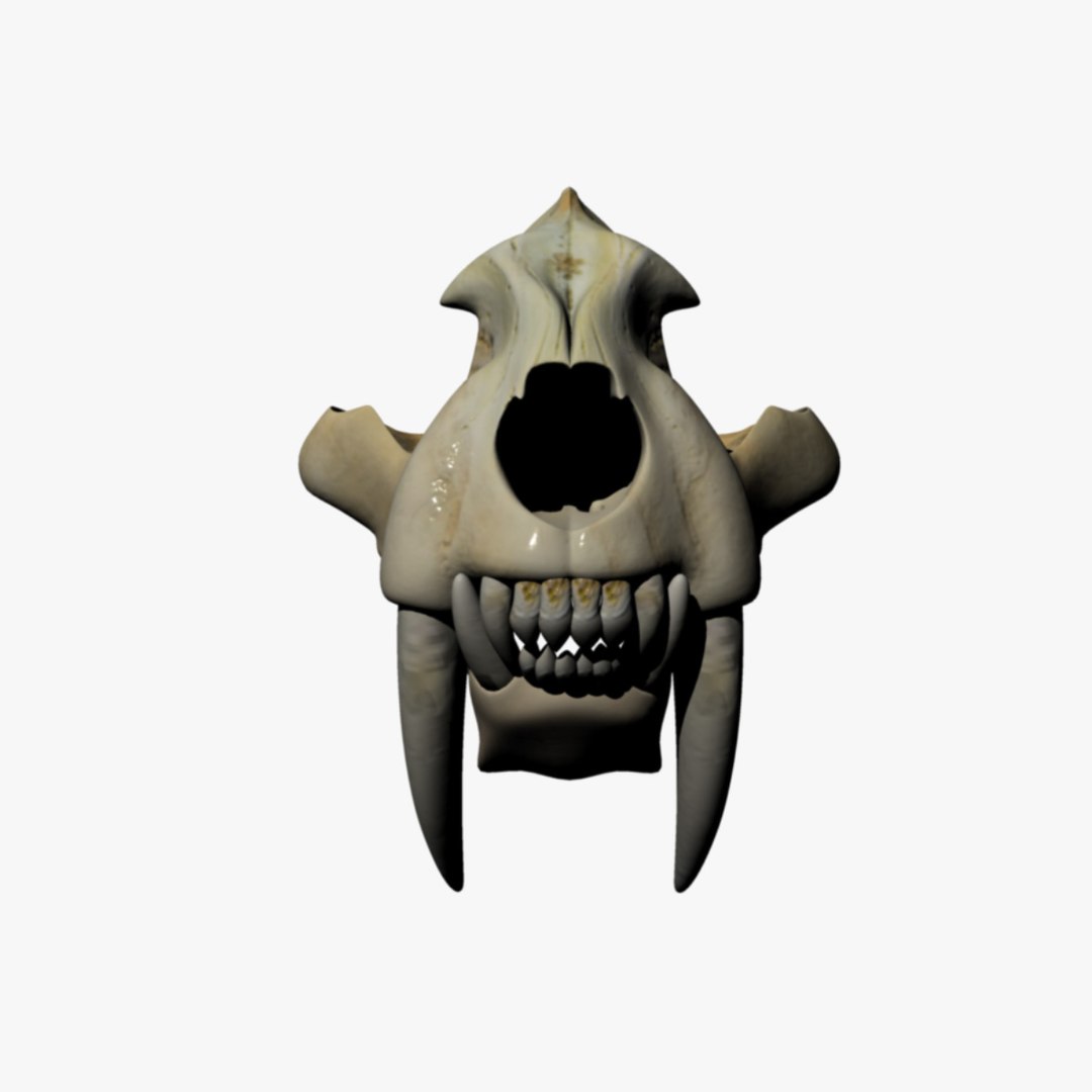 3d Model Saber Tooth Tiger