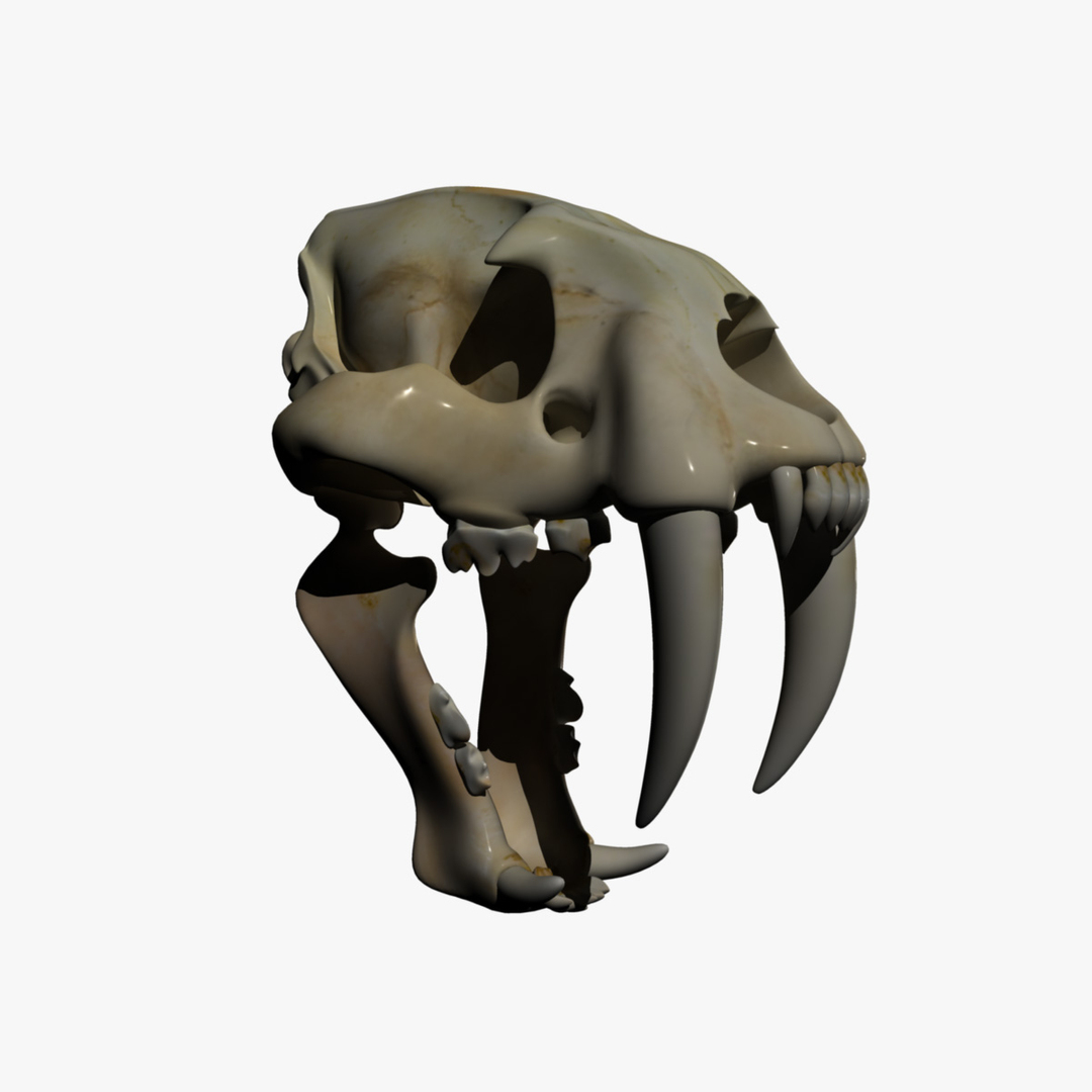 3d Model Saber Tooth Tiger