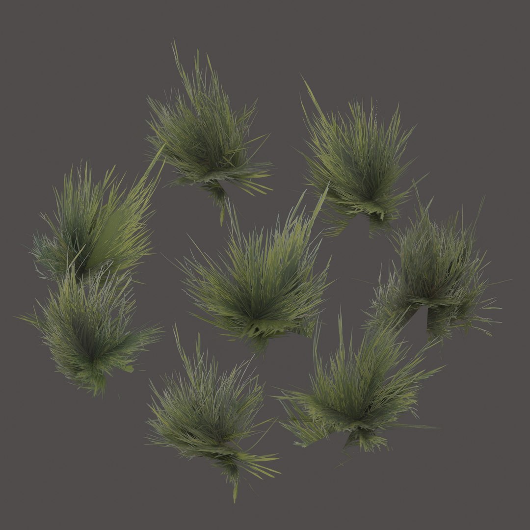 3D Model Grass - TurboSquid 1630413