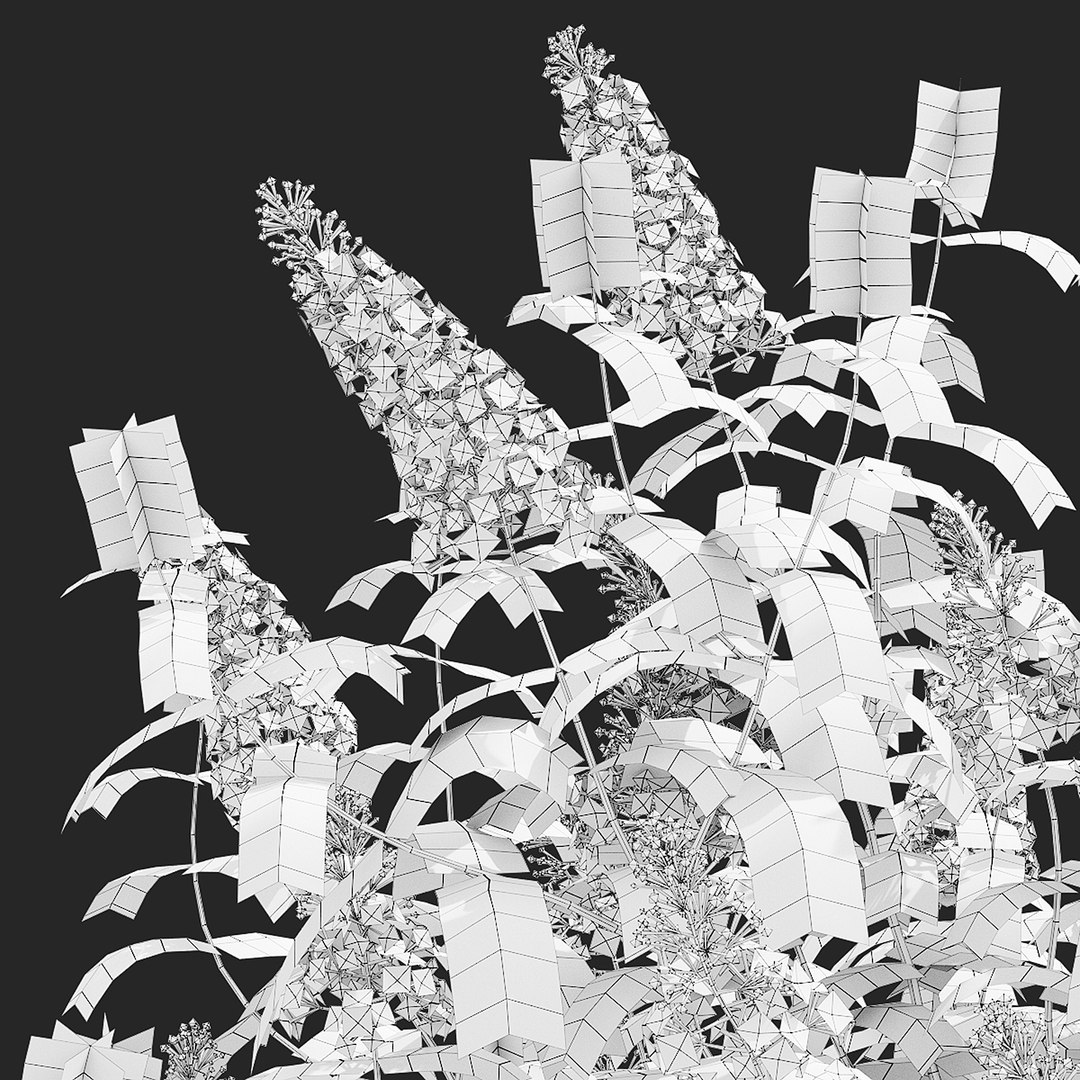 Buddleja Davidii Bushes 3D - TurboSquid 2030319
