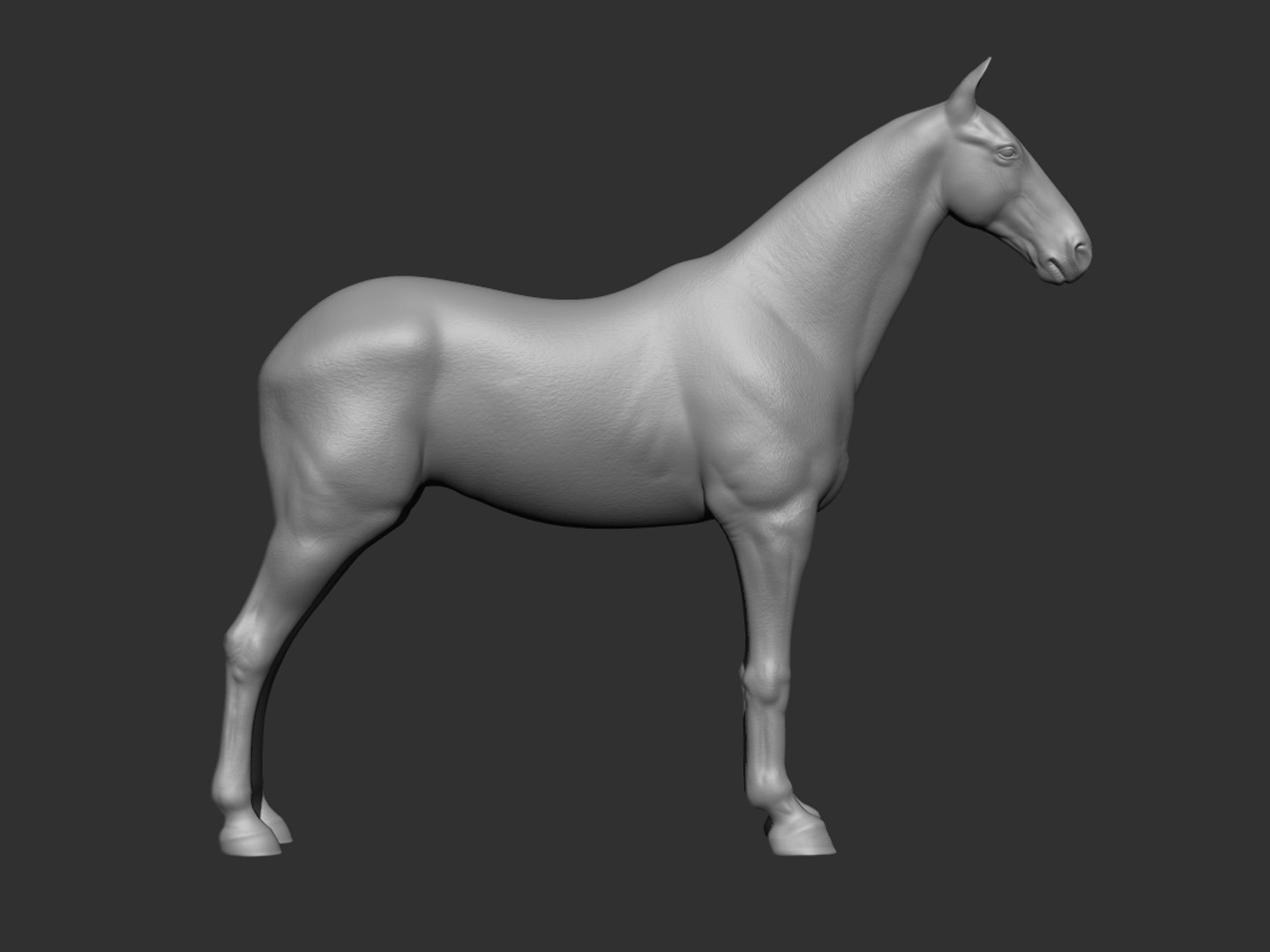 3ds Max High-poly Horse