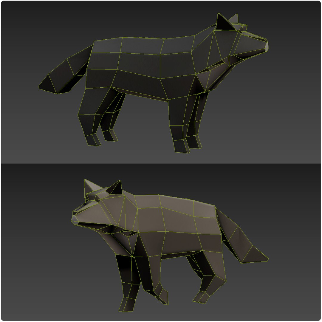 3D Wolf Animation Rigged Model - TurboSquid 1564394