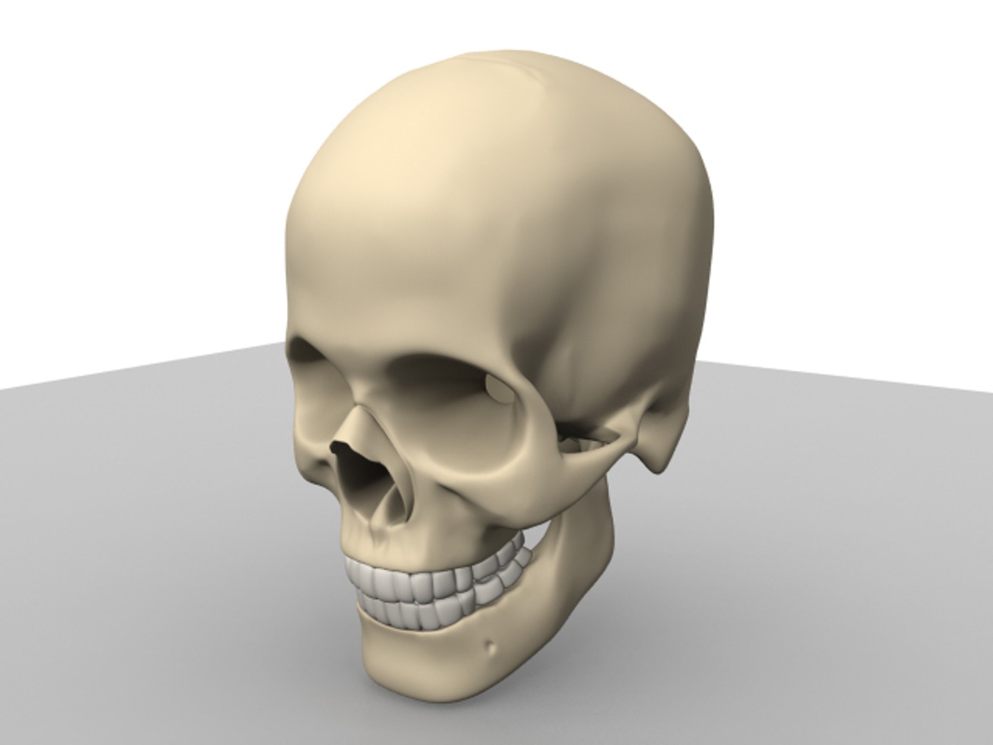 maya skull