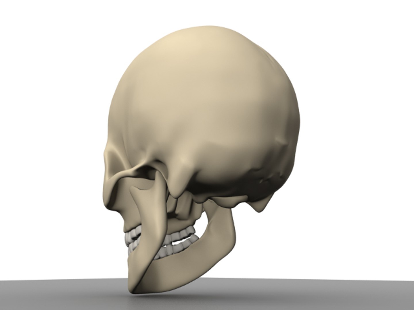 maya skull