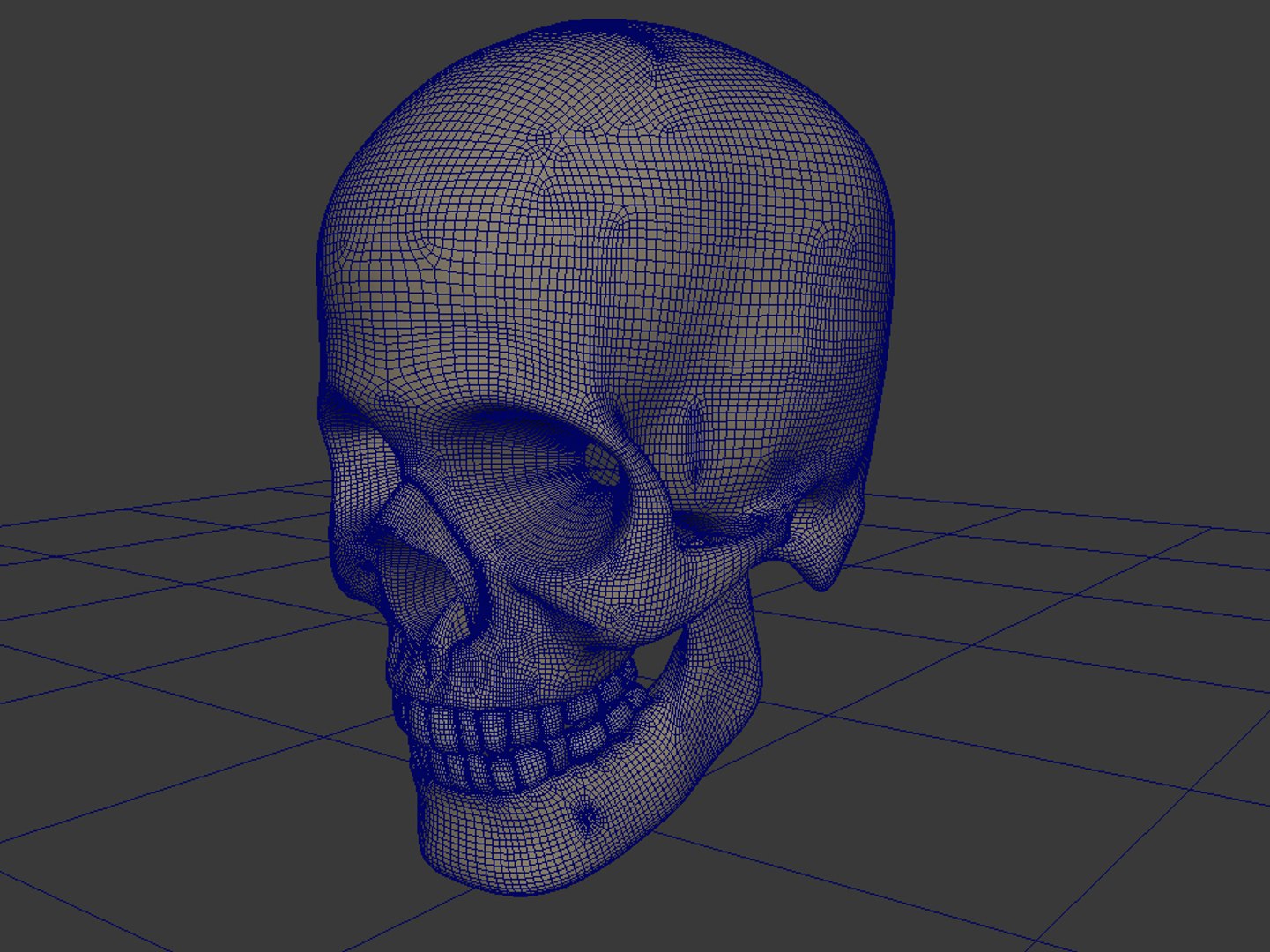 maya skull