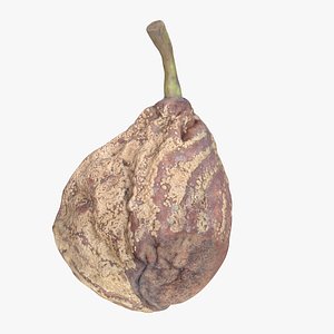 3D Food Rotten Models - Browse & Download Formats - TurboSquid