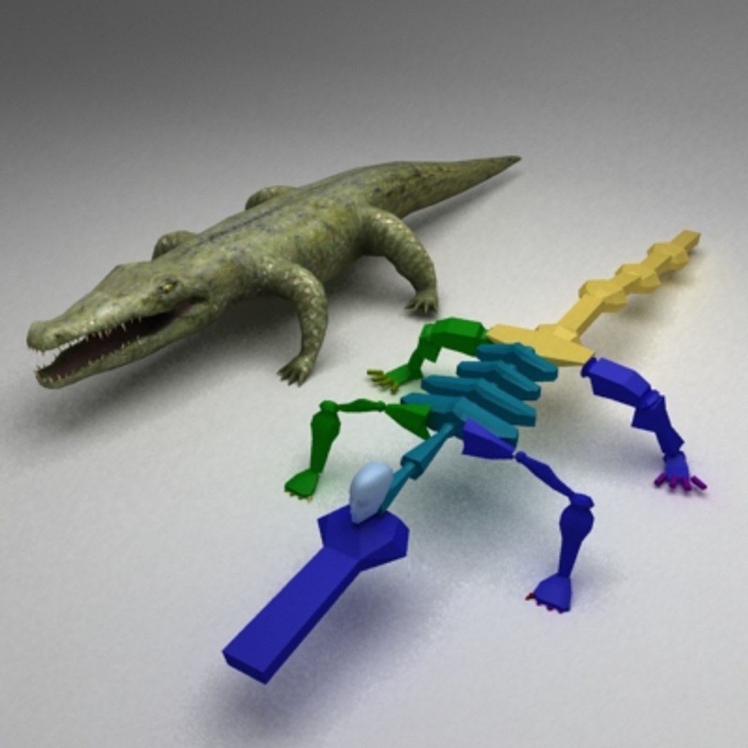 3d Model Rigged Crocodile