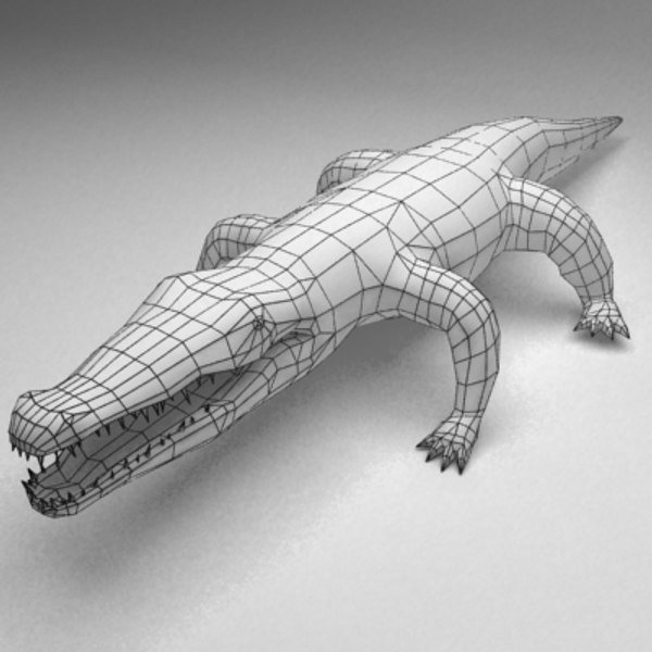 3d model rigged crocodile