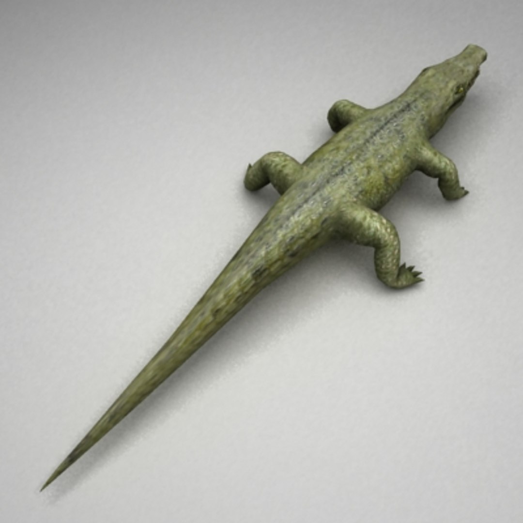 3d Model Rigged Crocodile