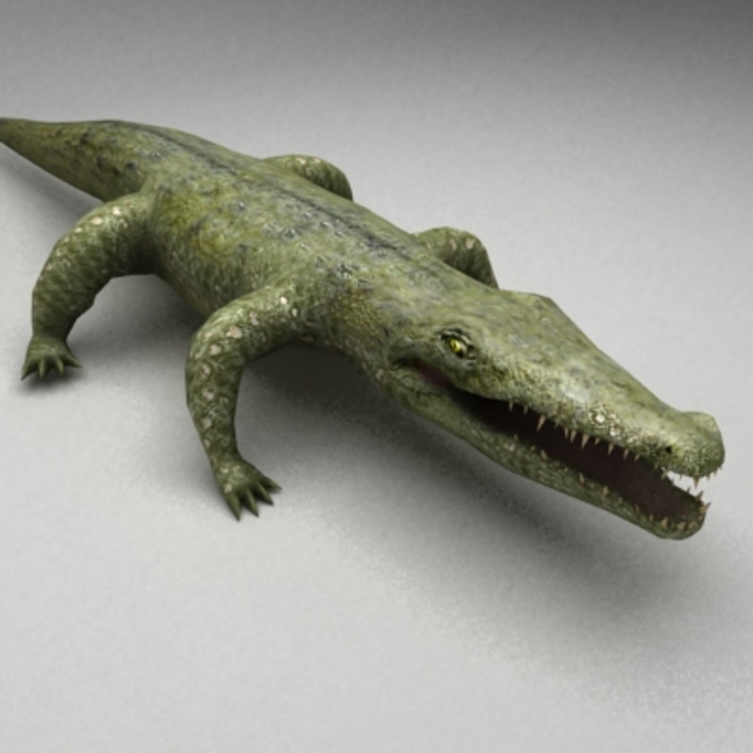 3d Model Rigged Crocodile