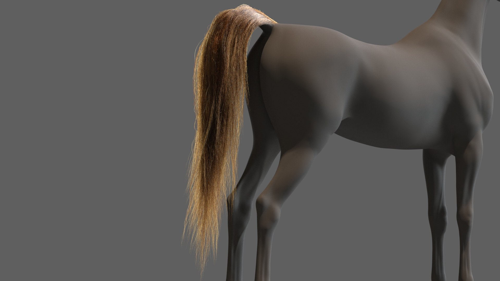 3D Horse Tail - TurboSquid 2079904