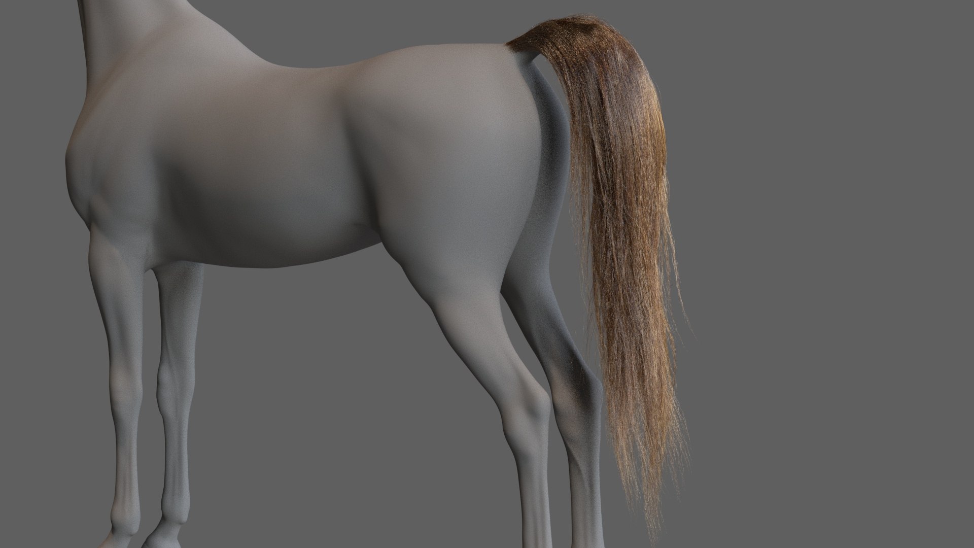 3D Horse Tail - TurboSquid 2079904