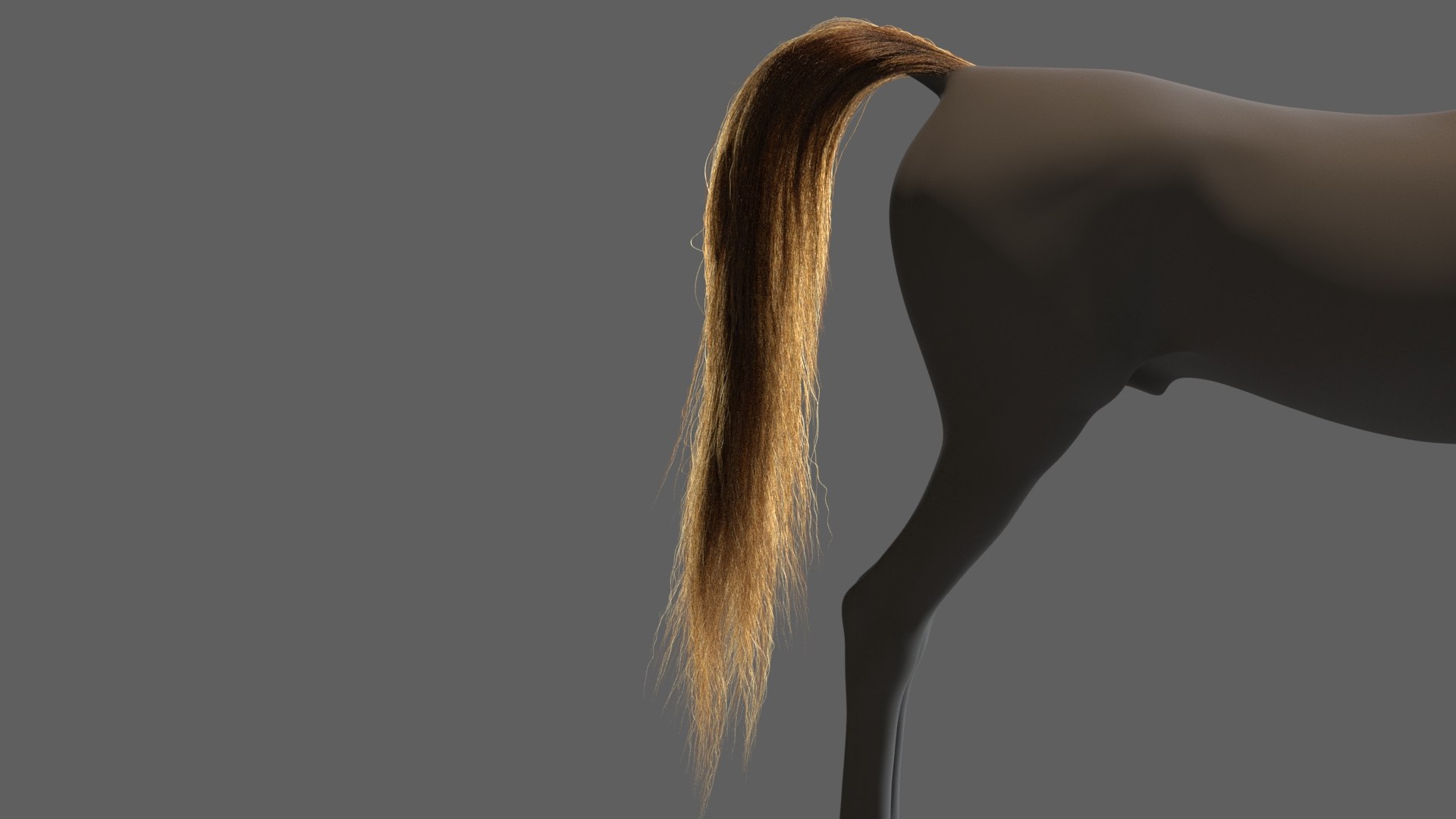 3D Horse Tail - TurboSquid 2079904