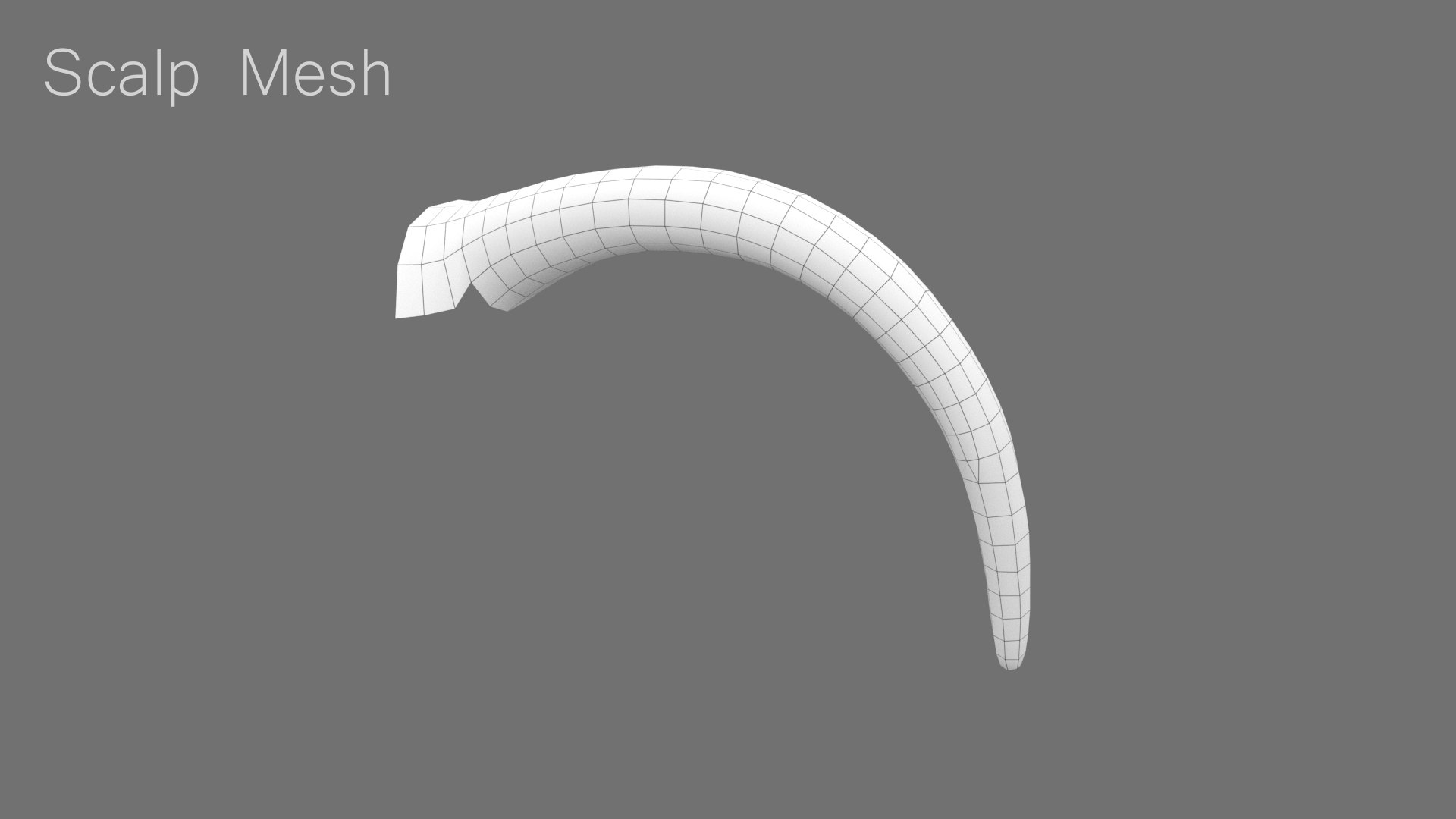 3D Horse Tail - TurboSquid 2079904