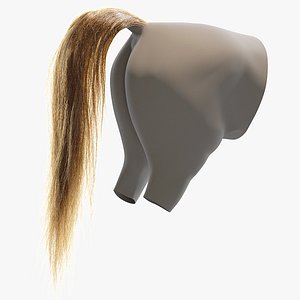 3D Horse Tail Models - Browse & Download Formats - TurboSquid