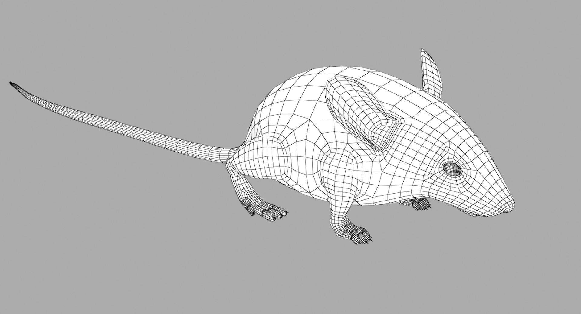 3D Mouse Fur Model - TurboSquid 1226832