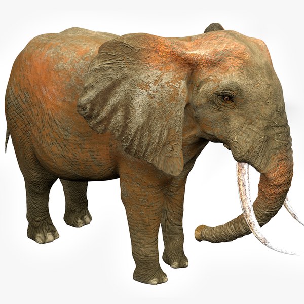 modelo 3d Elefante africano RIGGED L2265 - TurboSquid 2323929