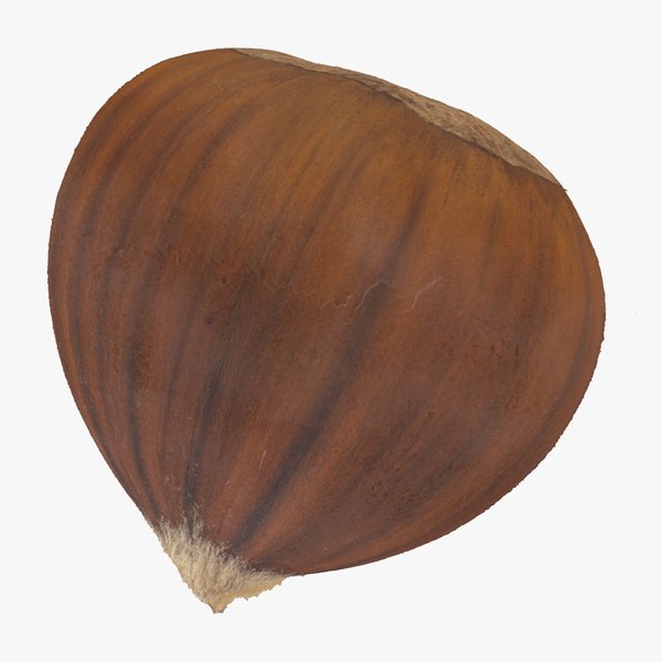 Chestnut 3D Models for Download | TurboSquid