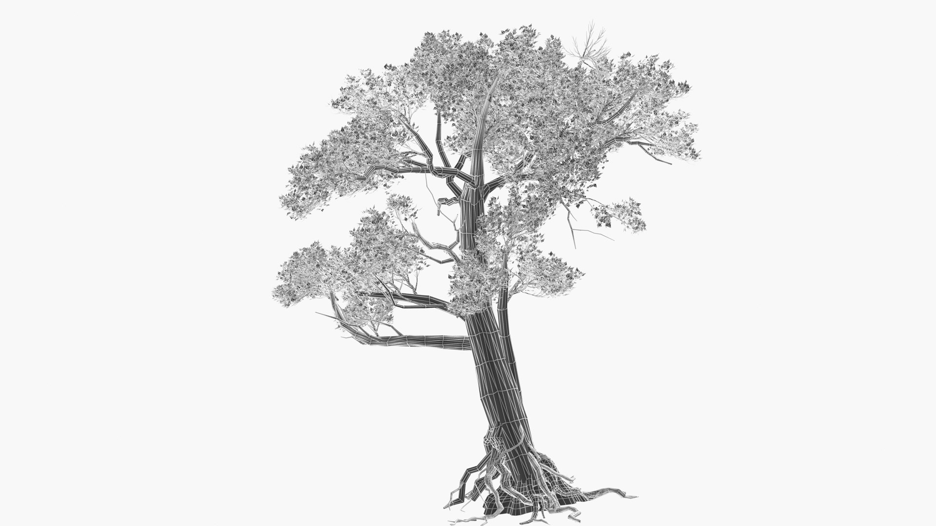 Tree Nature 3D Model - TurboSquid 1667506