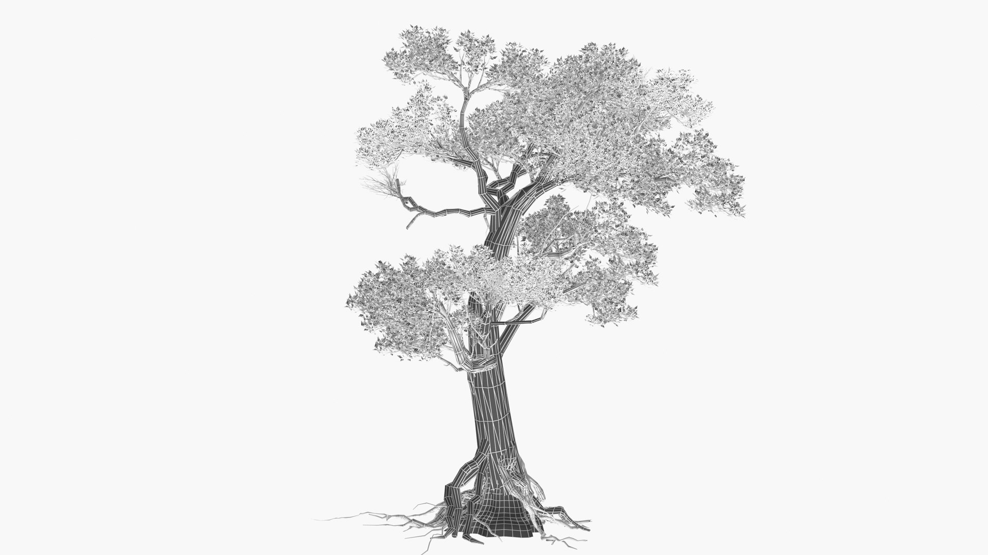 Tree Nature 3D Model - TurboSquid 1667506