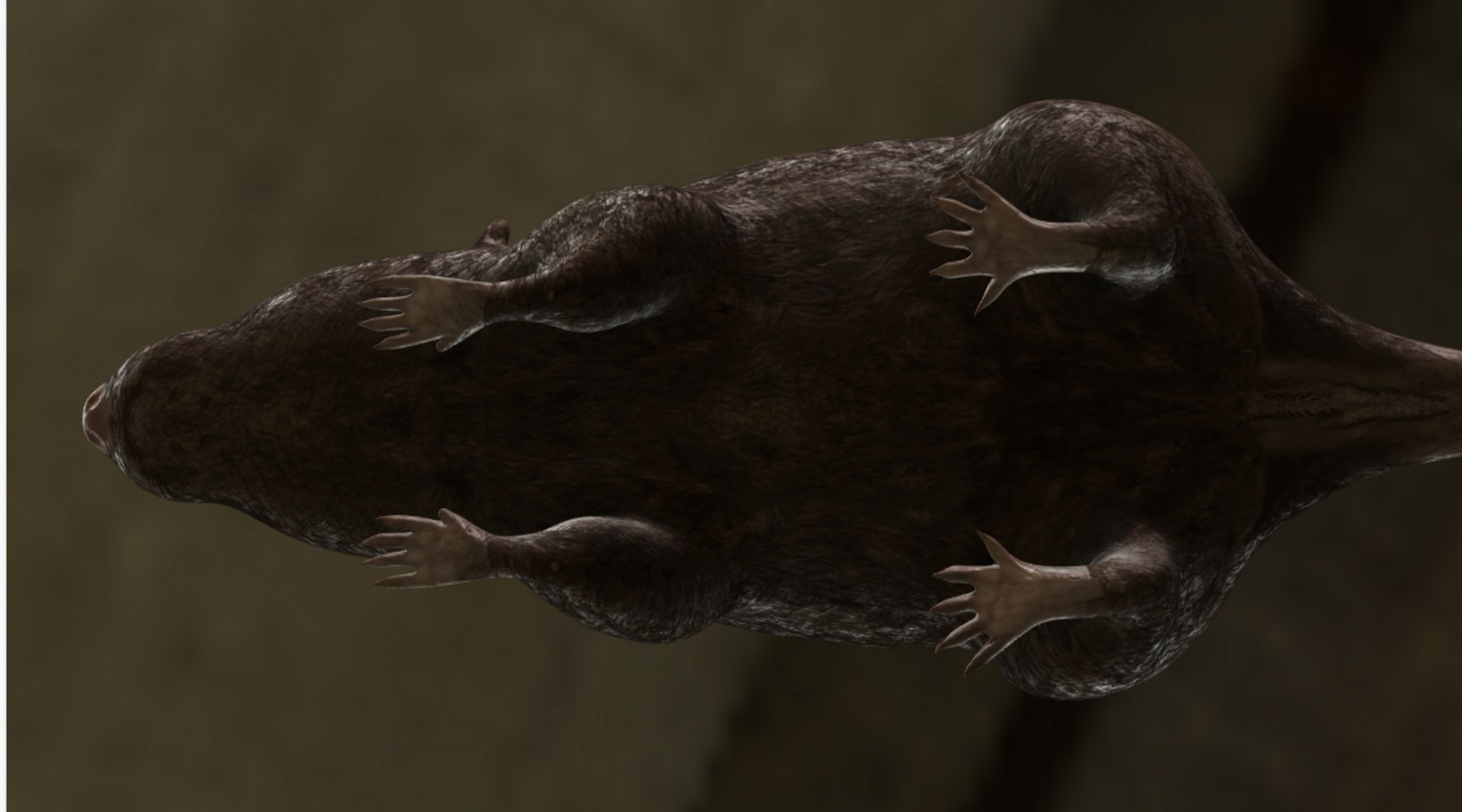3D Street Rat model - TurboSquid 2182313