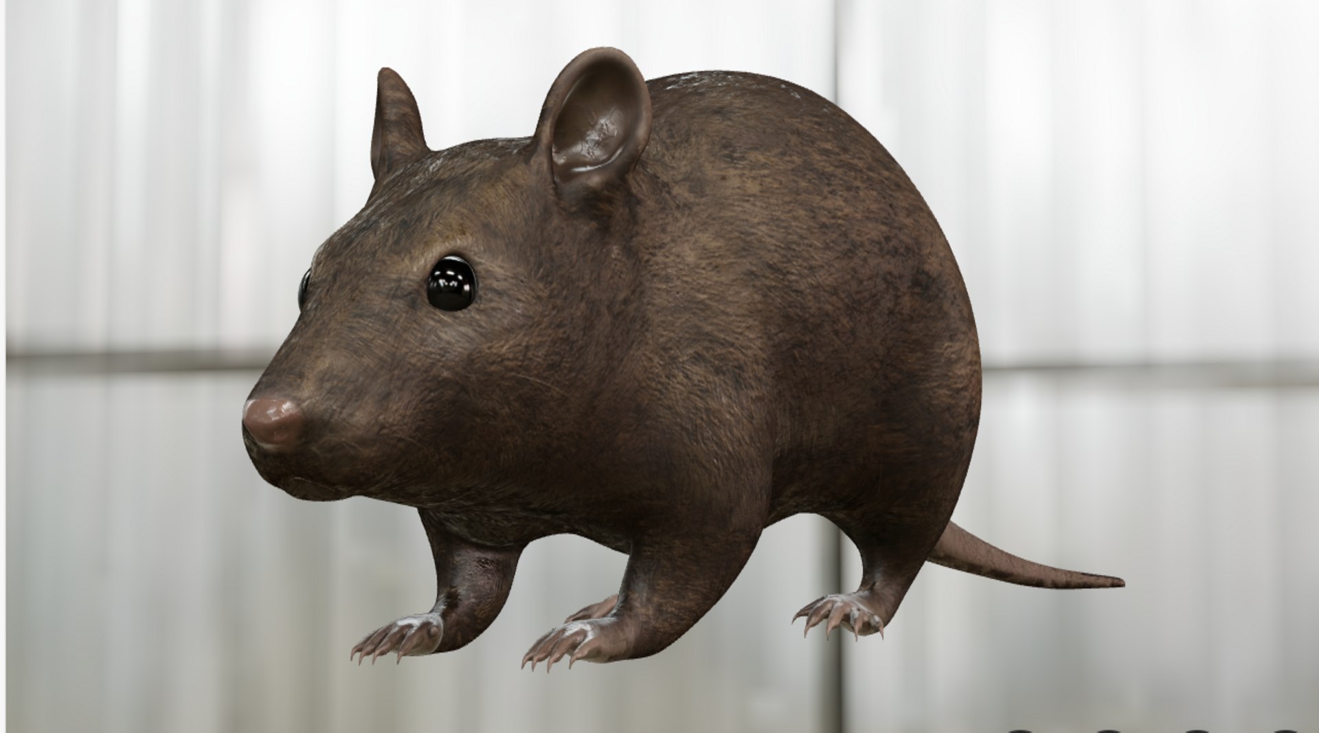 3D Street Rat model - TurboSquid 2182313