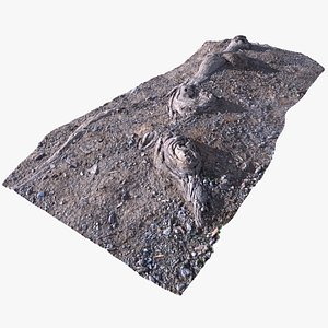 Tree Root 3D Models for Download | TurboSquid