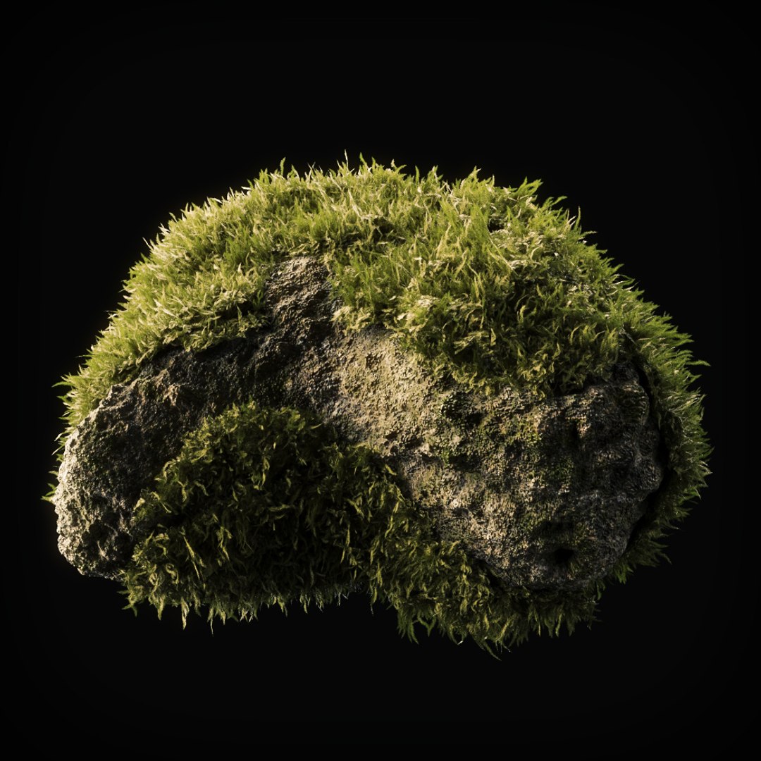 3D Moss 14 Model - TurboSquid 1535020