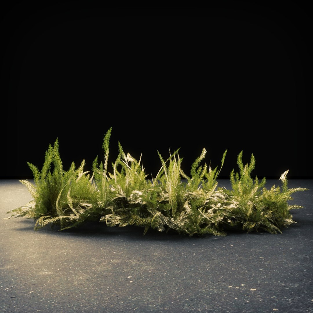 3D Moss 14 Model - TurboSquid 1535020