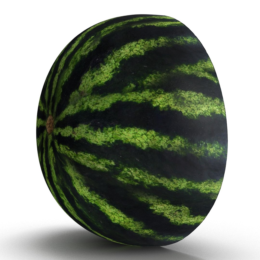 3dsmax Watermelon Cross Section 2