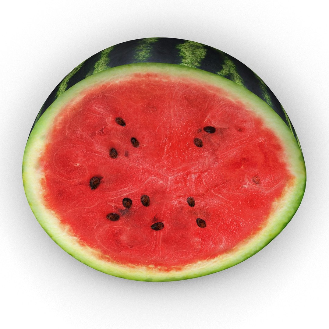 3dsmax Watermelon Cross Section 2