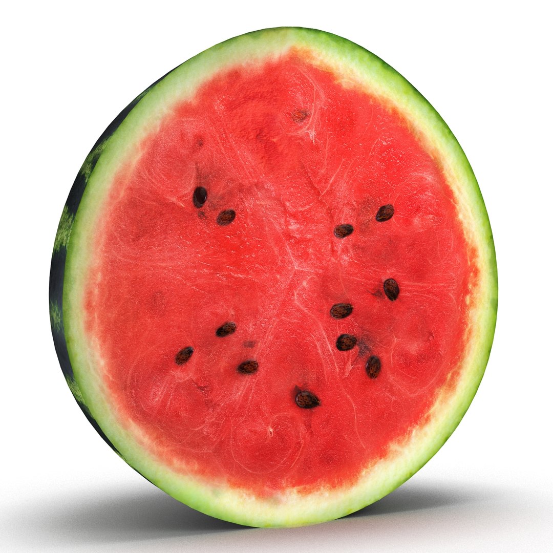 3dsmax Watermelon Cross Section 2