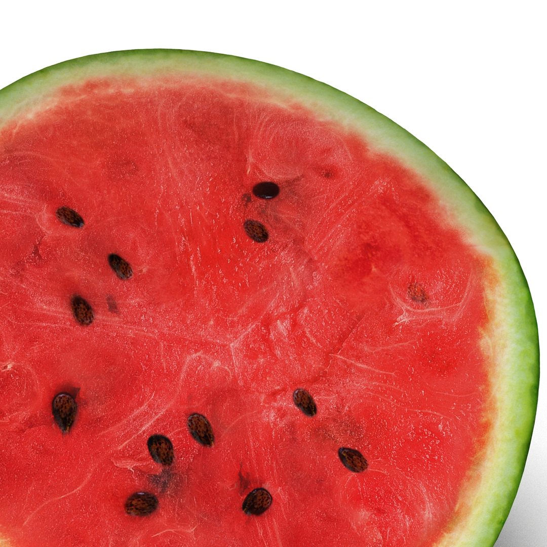 3dsmax watermelon cross section 2