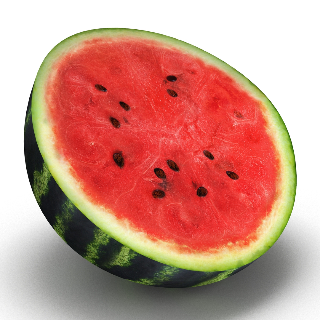 3dsmax Watermelon Cross Section 2