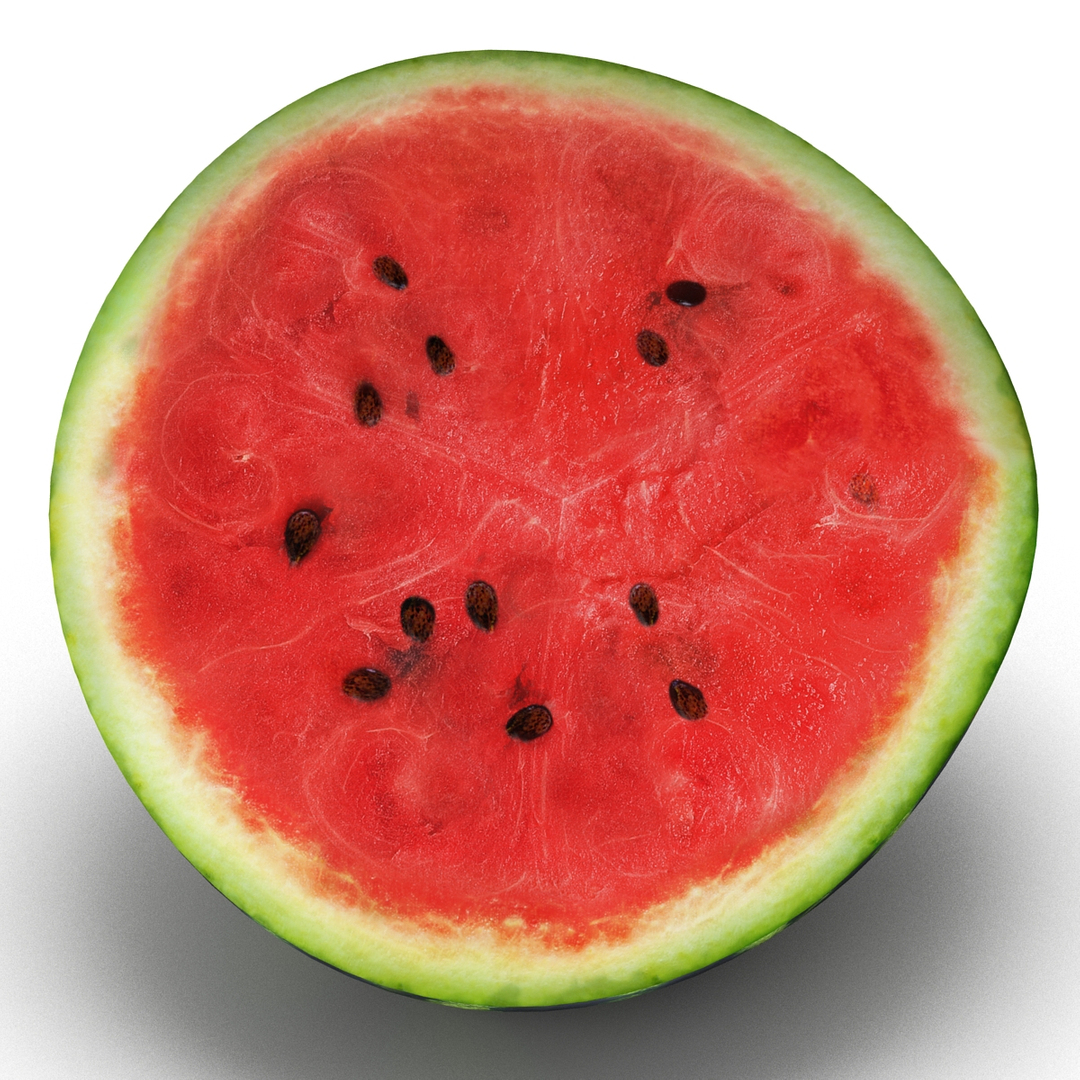 3dsmax watermelon cross section 2