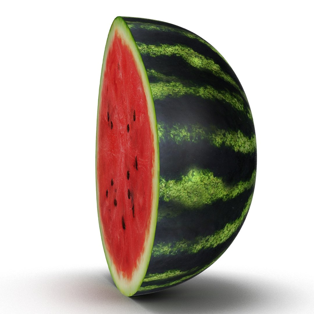 3dsmax Watermelon Cross Section 2