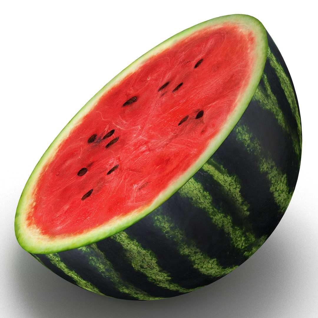 3dsmax Watermelon Cross Section 2